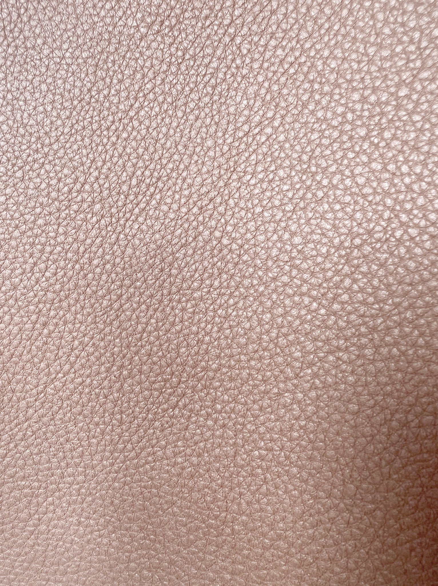 Berkeley Belt Bag – Able